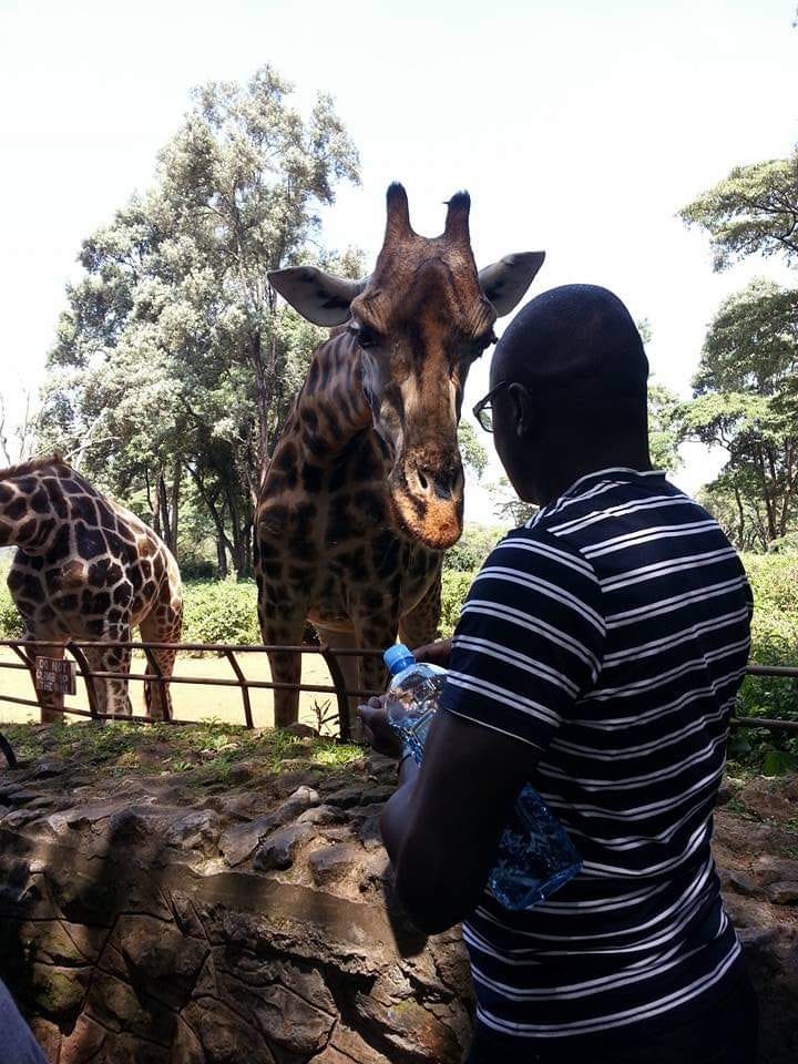 Even Then. Even If the sun went gaga So berserk… | by Katende Robert ...