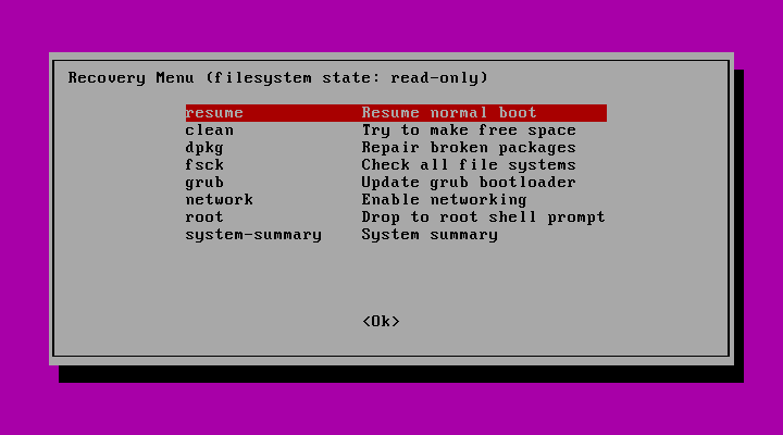 The Ubuntu Recovery Menu: demystifying Linux system recovery | by David ...