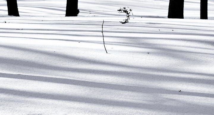 A Page In The Snow Book By Vinod Shenoy | by Goat | Scene & Heard (SNH ...