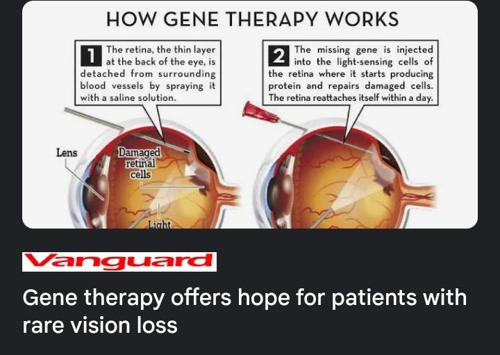 Innovating Gene Therapy for Vision Loss: Sustainable Engineering and ...