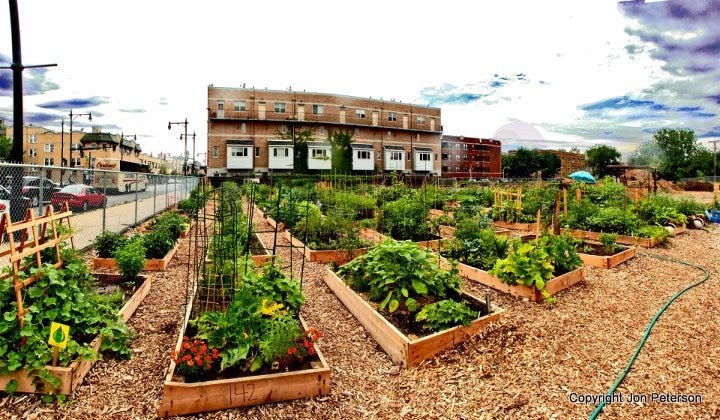 Seedfolks. Fleischman, Paul. Seedfolks… | by Adam Apo | Medium