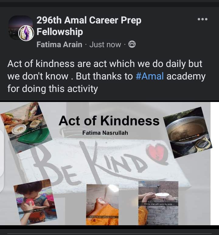 Amal Fellowship Journey - Fatima Arain - Medium