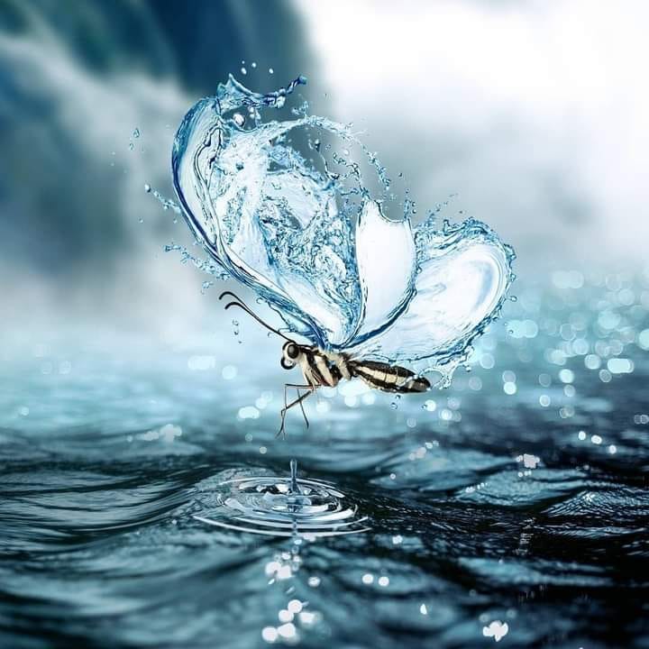 Water, Life and Civilizations. (Water is Civilization) | by Rabia Zia ...