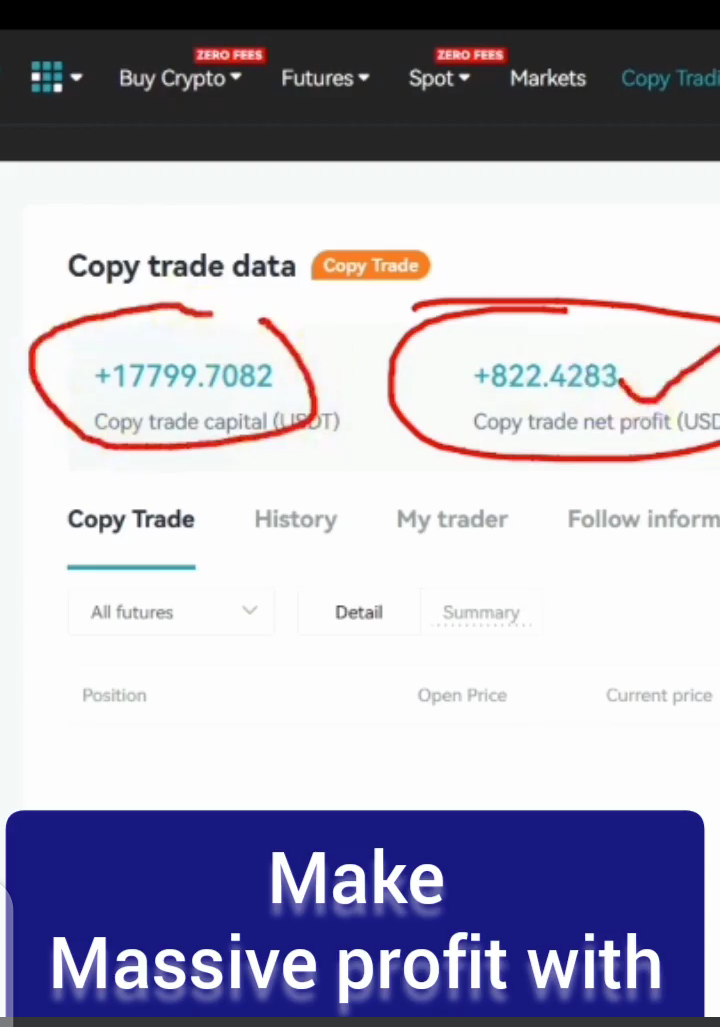 MAKE MASSIVE PROFIT WITH COPYTRADING Results of Copying master lead ...