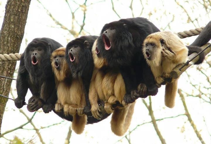 WE ARE MORE COURAGEOUS TOGETHER. We will always feel stronger and more ...