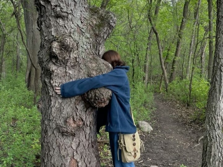 Indeed trees have scars as well, yet they stay lovely. | by Ethan | Medium