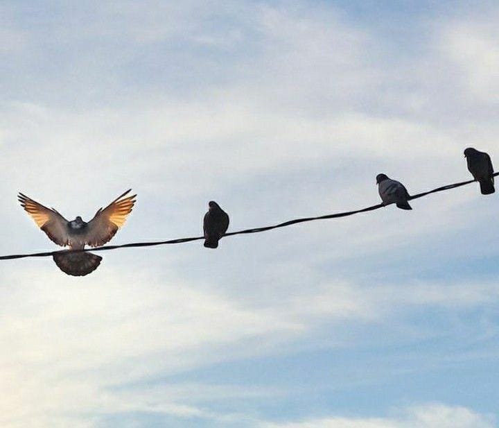Three Liberating Insights in Haemin Sunim’s book: “The Things You Can ...