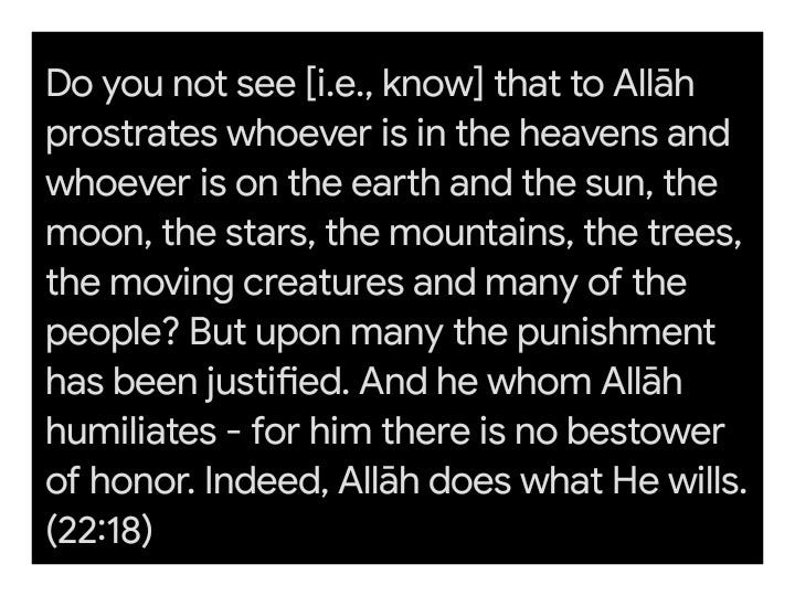 Every Creature In The Universe Is— Prostrating Before Allah And ...