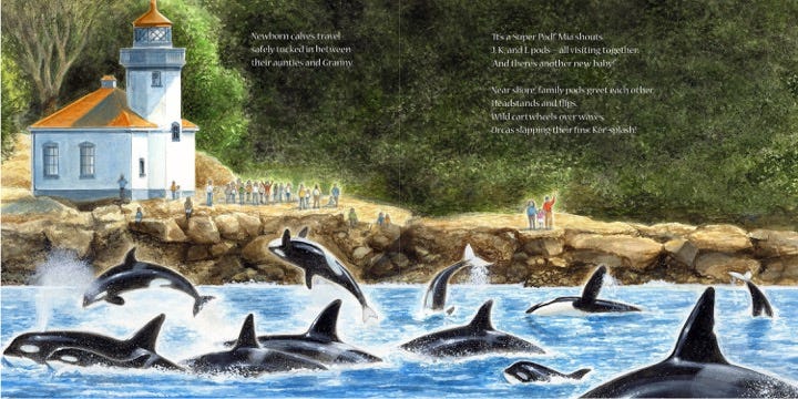 When Orcas Sing. June is Orca Awareness month. Celebrate… | by Brenda ...