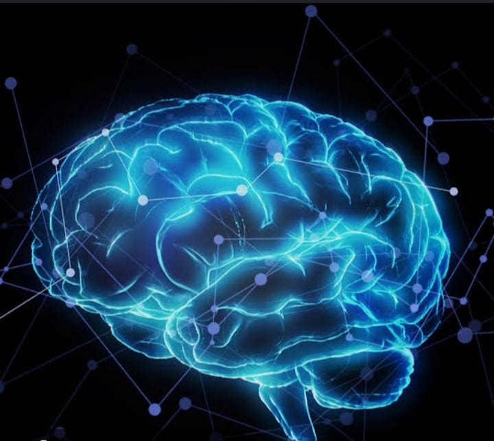 Unlocking the Mysteries of the Brain: A Journey into Neuroscience ^ | by sukhraj singh | Apr ...