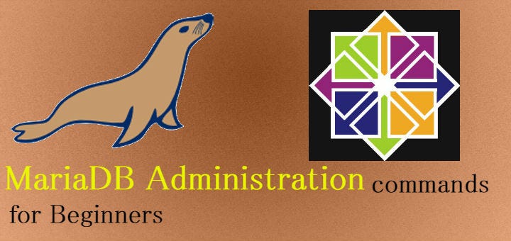 MariaDB administration commands for beginners | by Shujat Husain | Medium