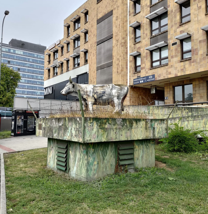The most accurate cow in art. In the Czech city of Ostrava, you will ...
