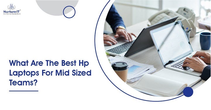 What are the Best HP Laptops for Mid-Sized Teams? | by Nurtureitseo ...