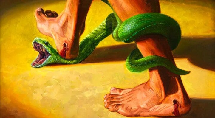 Walking on Snakes and Scorpions: Thriving in the Toxic Workplace | by ...
