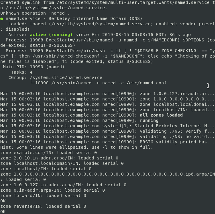 Install a DNS Server with a Shell Script (Linux Automation — Part I ...