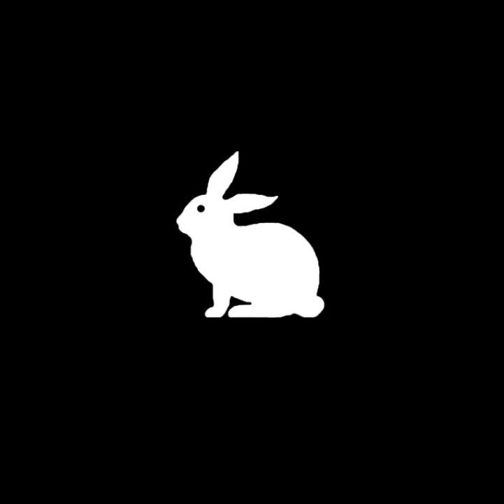 NotRabbit - Not Rabbit - Medium