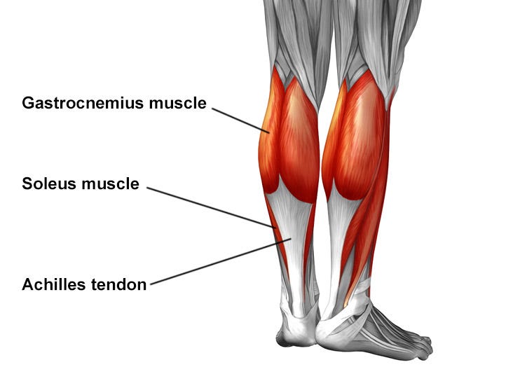 Alleviating Foot Pain: How Atlas Arch Support Insoles Can Help with ...