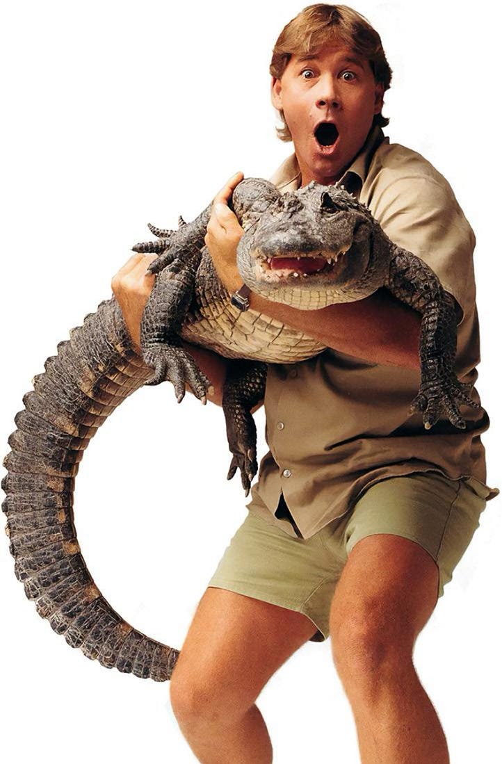 The Infectious Zeal of Steve Irwin | by Late Night Epiphanies | Jan ...