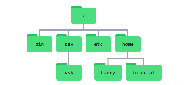 Exploring the Cloud with Linux and Bash. | by Francis Adeboye | AWS Tip