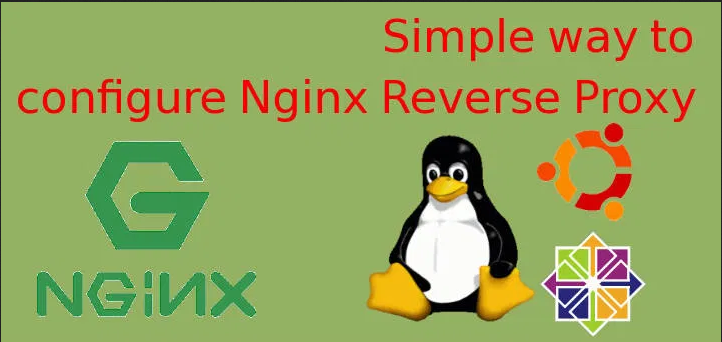 Simple guide on How to setup Nginx Reverse Proxy | by Shujat Husain | Medium