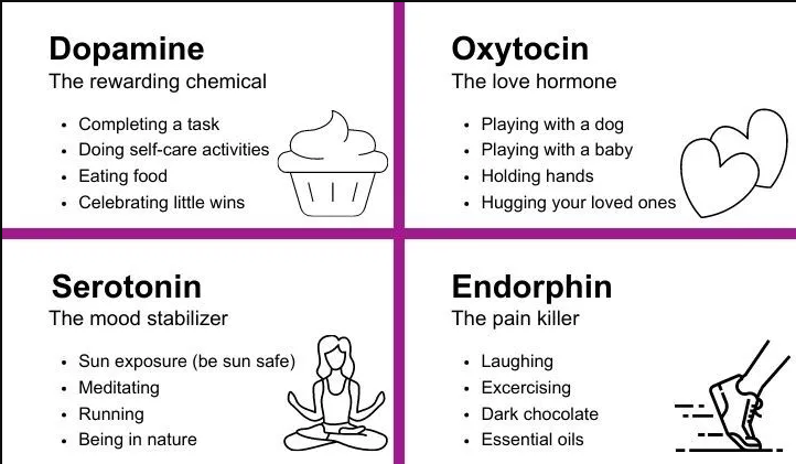 How the Brain Keeps You Happy. Boost feel-good hormones: dopamine… | by ...