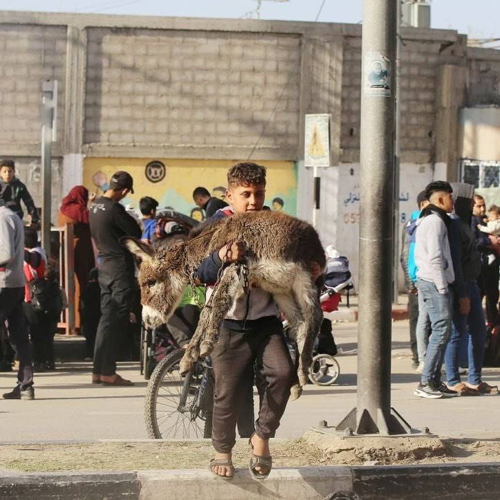 A little child carrying a colt whilst fleeing from Al Braij refugee camp which is under Israeli ...