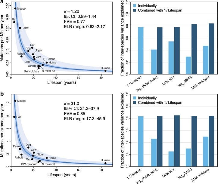 Somatic Mutation Rates Scale With Lifespan Across Mammals By Axial