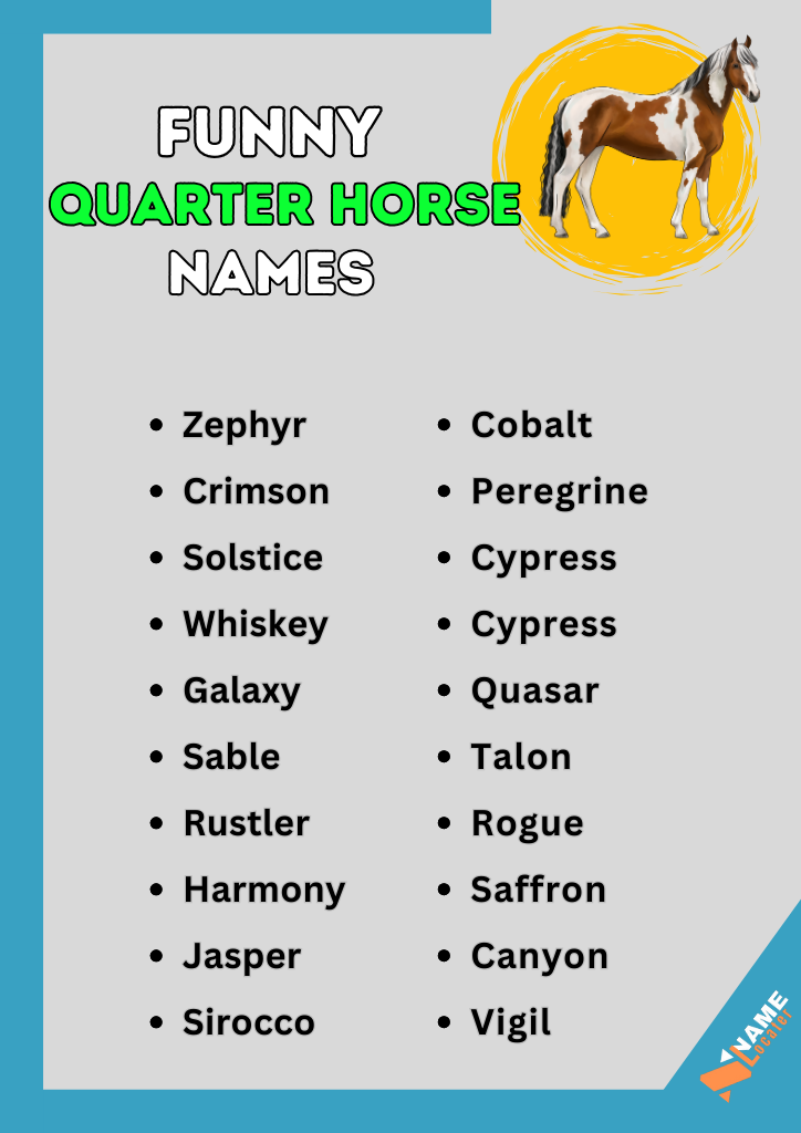 500 Unique Names for Quarter Horse | by Name Locater | Mar, 2024 | Medium