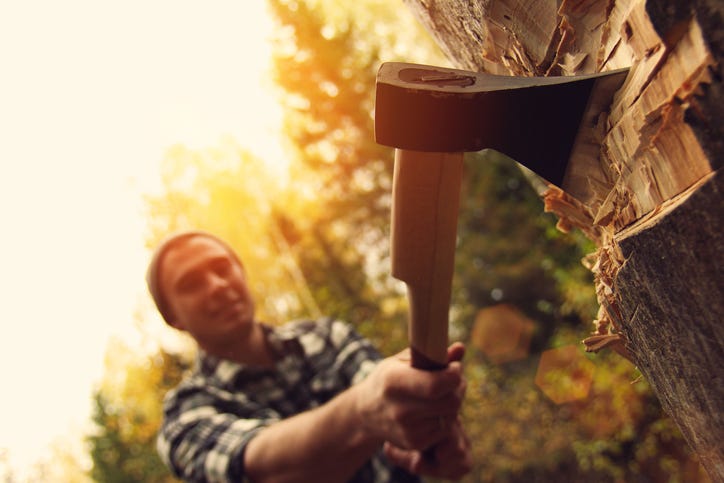 The Ax in the Tree: Healing Childhood Bereavement | by Elizabeth ...
