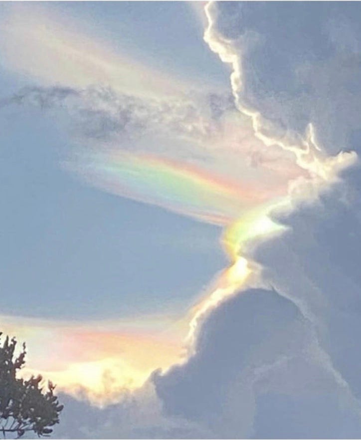 Upside Down. Inside Out | by Kira Dawn | The Intoxicating Unhinged Mind ...