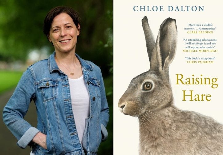 A Good Hare Day Like No Other. A finalist for a major book award shows ...