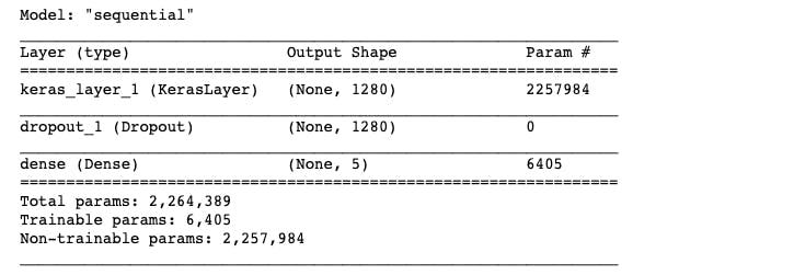 Image Classification with Transfer Learning | by Nwosu Rosemary ...