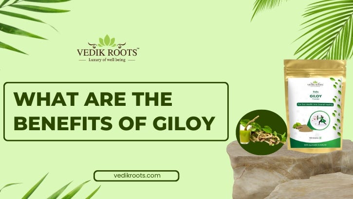 What are the Benefits of Giloy. What is giloy: | by harsha sharma | May ...
