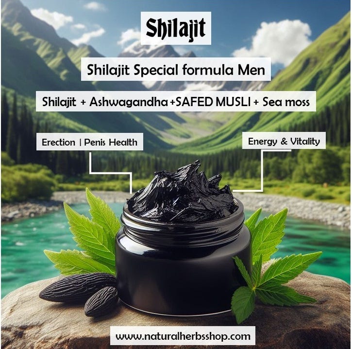“The Resilience of Friendship: Edward’s Journey with Shilajit” | by ...