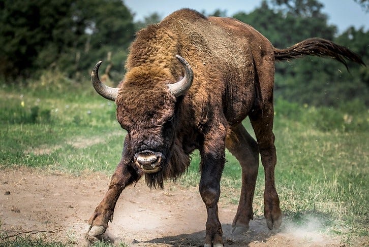 3 Ways to Calm the Anger Beast. When I was growing up, my father was a ...