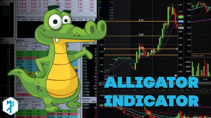 Alligator Indicator Definition: Day Trading Terminology | by Warrior ...