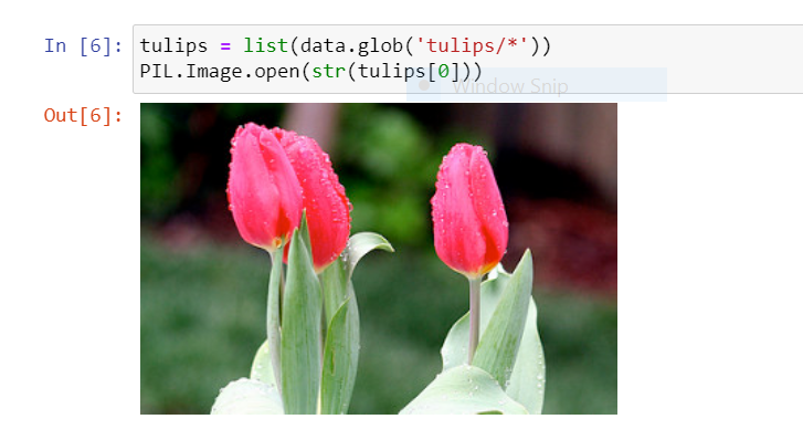 Unleashing the Power of Deep Learning: Exploring TensorFlow with Keras ...