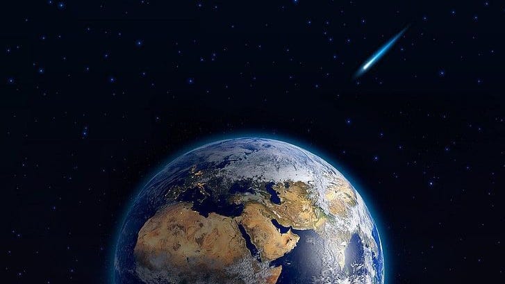 BENTALA BUMANTARA - Butterfly - Medium