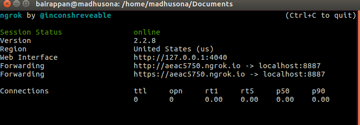 ngrok for Students. To operate a website, domain name and… | by Madusudhanan Bairappan | Medium