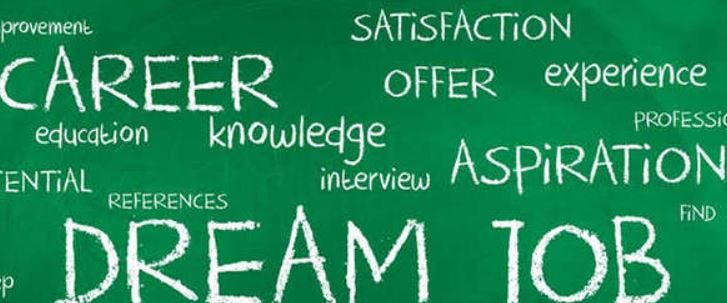 How to Pick a Career That You Actually Enjoy | by Dr. M. S. Sher | Medium