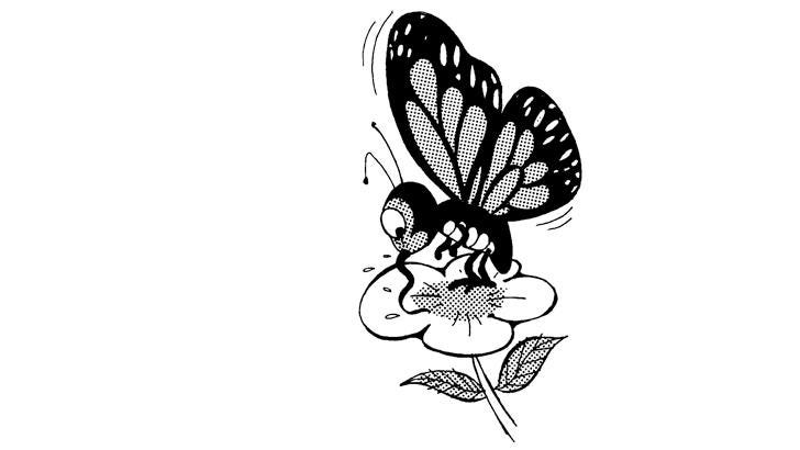 Which Insect Sips Its Dinner Through a Straw? | by Zippy Facts | Medium
