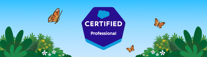 Salesforce Roadmap. 🚀 Ready to embark on a Salesforce… | by Lolla Ahmed ...