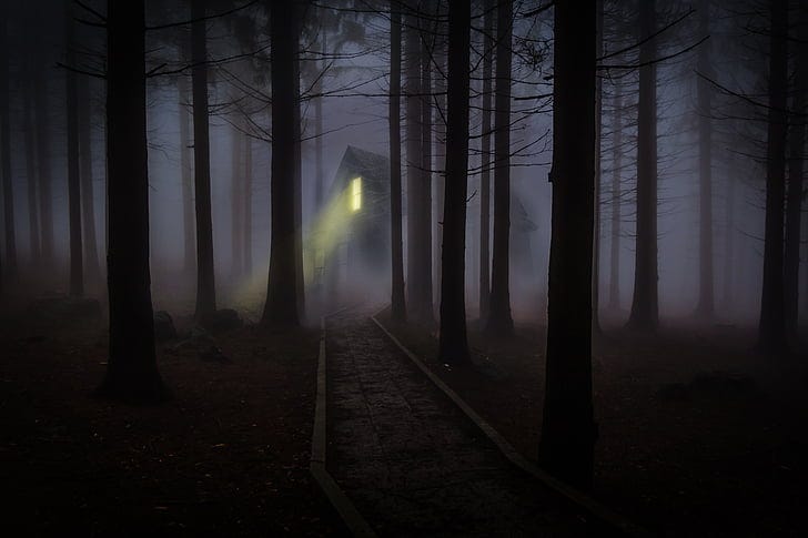 Listener Tales 58 | Morbid | Podcast Transcript | by Transcript Forest ...