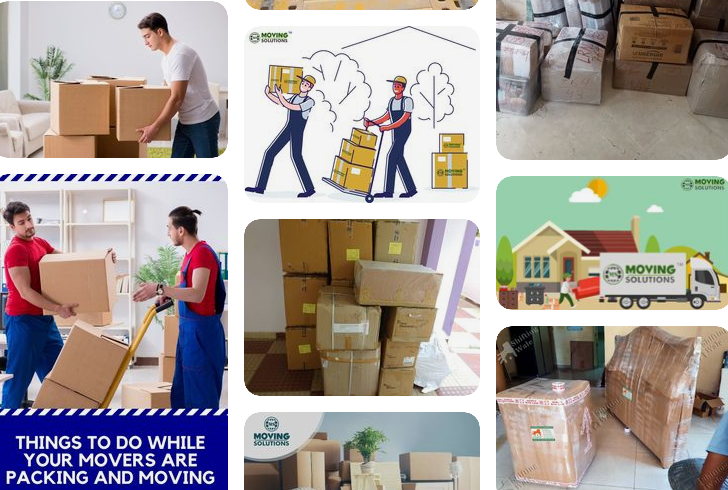 Are the Packers logistics worth a move? - King Cargo Shifting Solution - Medium