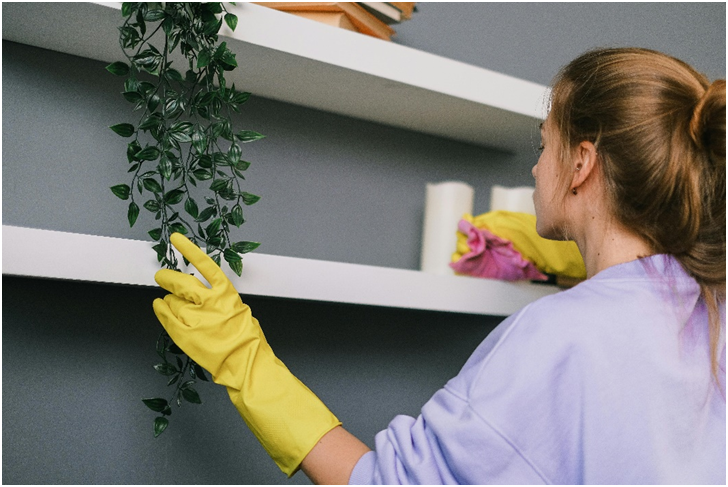 Why Eco-Friendly House Cleaning is Essential for San Francisco Homes ...