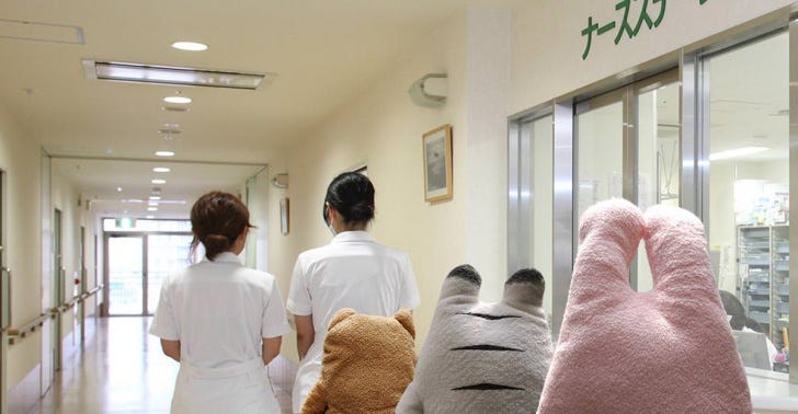 Stuffed Toy Hospital in Japan | Medium