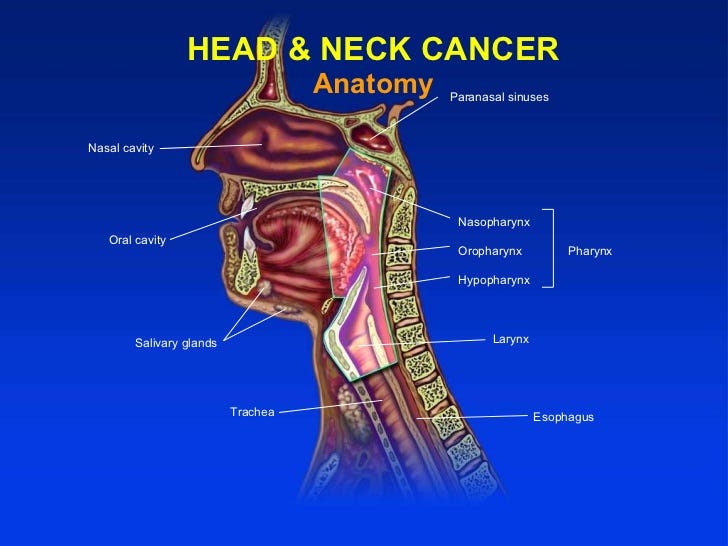 Chemotherapy for Head & Neck Cancer: A Comprehensive Guide | Medium