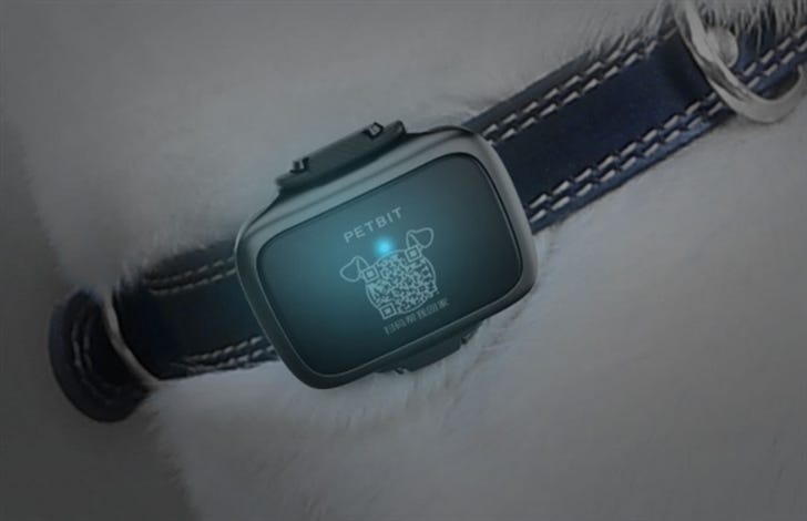 Xiaomi сделала GPS-трекер для собак | by @Igor_Kripak | Medium