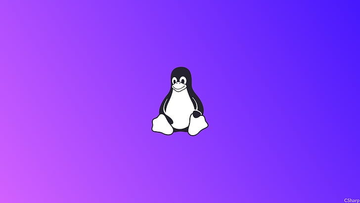 Developer Diaries: Processes, Files, and File Descriptors in Linux | by Sanil Khurana | Geek ...