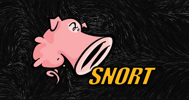 An Introduction to Snort. Understanding Snort: Key Features and… | by Abdalla | Aug, 2024 | Medium